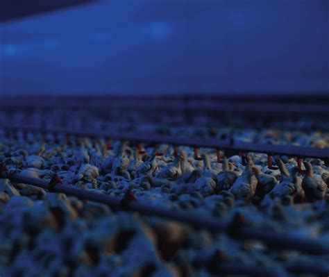 Copilot System Copilot System