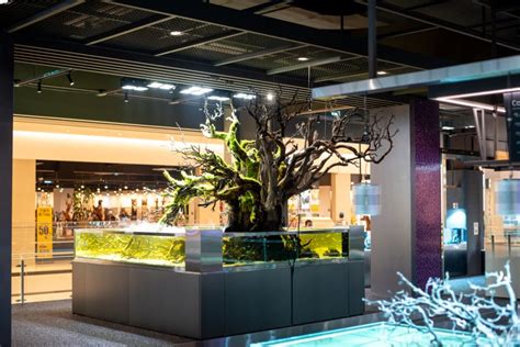 아쿠아가든카페 리빙파워센터 기흥점 시원한 수족관카페 네이버 블로그