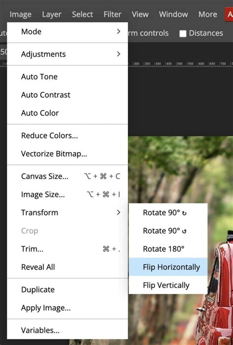 Transform An Image In Photopea How To Move Rotate Flip Scale And