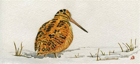 Woodcock Paintings For Sale Fine Art America