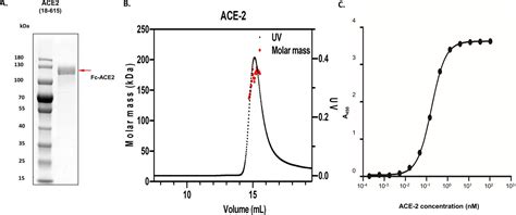 Figures And Data In Sars Cov 2 S Protein Ace2 Interaction Reveals Novel Allosteric Targets Elife