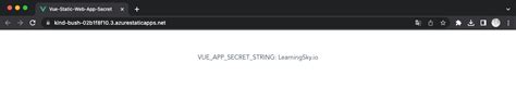 Cloud 】透過 Github Action 部署 Vue 到 Azure Static Web App 並設定 Secret