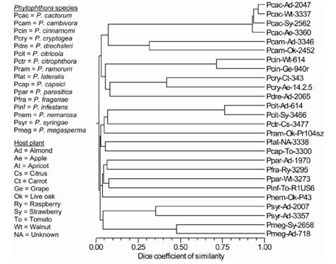 Dendrogram Depicting The Genetic Relatedness Among 16 Phytophthora