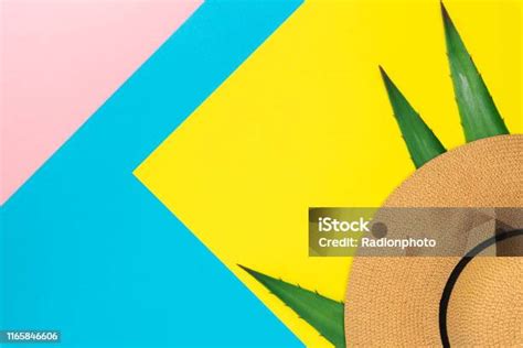 최소한의 여름 개념 플랫 레이 밀짚 모자 색깔파스텔 배경에 알로에 선인장 잎 텍스트의 공간을 복사합니다 맨 위 보기 0명에 대한 스톡 사진 및 기타 이미지 Istock