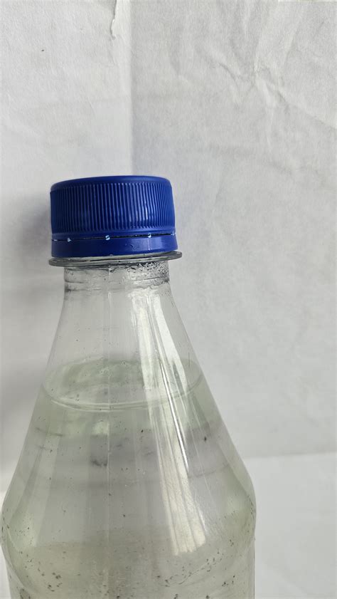 Cap Detection Object Detection Dataset And Pre Trained Model By Ab