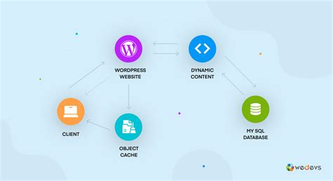 Wordpress Object Caching Improve Your Website Performance With Ease Wedevs