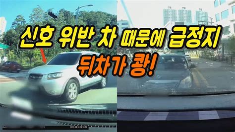 2022회 1953회 투표결과 신호위반 차 때문에 급정거 뒤차가 쾅 신호위반 차는 가버렸음 신호위반한 차와 안전거리 미확보 뒤차 누가 더 잘못일까요 Youtube