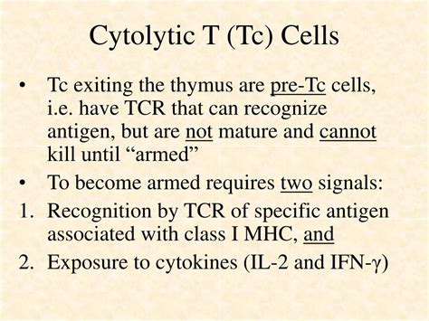 PPT Functions Of Th Cells Th1 And Th2 Cells Macrophages Tc Cells And NK Cells