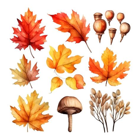 Premium Vector Watercolor Autumn Set White Background
