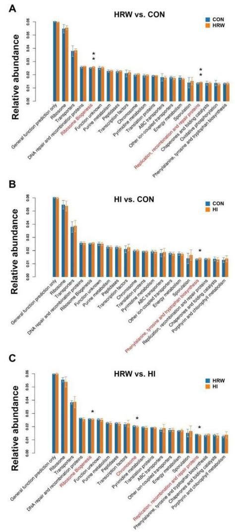 Differentially Enriched Kegg Pathways The Functional Prediction At