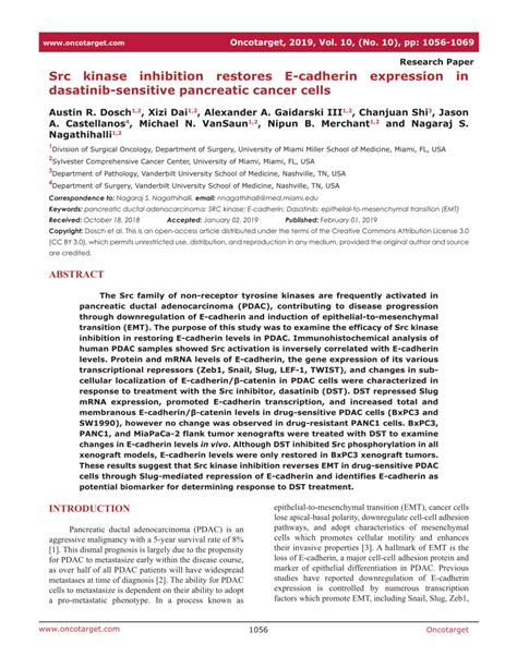 Pdf Src Kinase Inhibition Restores E Cadherin Expression In Dasatinib