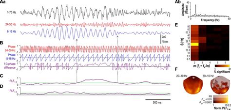 Local Cf Phase Synchrony In The Human Cortex Recorded With