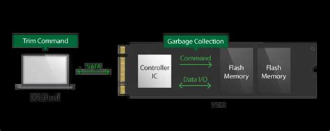 The Role Of TRIM In SSDs Performance Optimization And Data Recovery Explained Xtremegaminerd