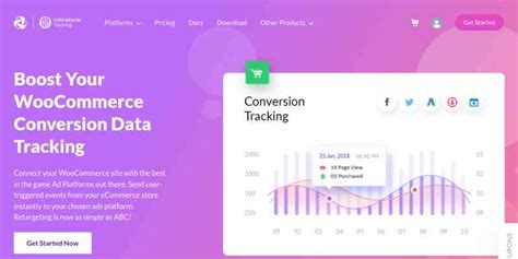 Woocommerce Conversion Tracking Pro Pluginizer