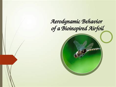 Pdf Aerodynamic Behaviour Of A Bioinspired Airfoil