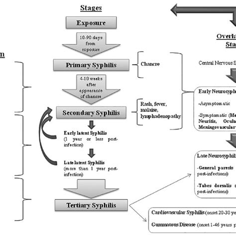 The Actual Testing Algorithms For Diagnosis Of Syphilis Modified From