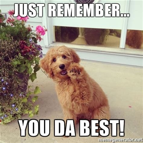 25 Coolest You Da Best Memes