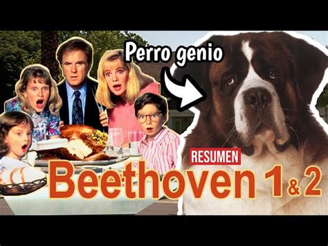 Cachorros De La Pelicula Beethoven