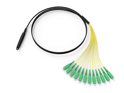 T24412eb4d1e010f P Evolv® Multifiber Pushlok™ Assembly Multifiber Pushlok® Male To Scapc