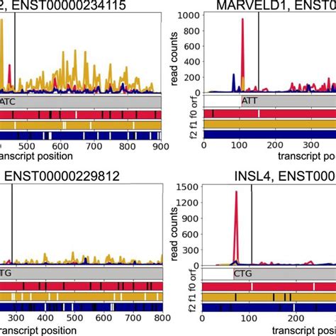 Subcodon Ribo Seq Profiles With The Densities Of Ribosome Footprints Download Scientific