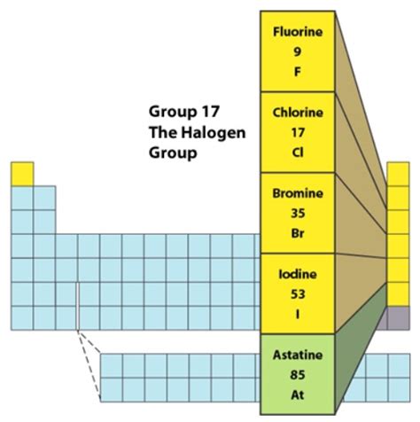 Halogen Family