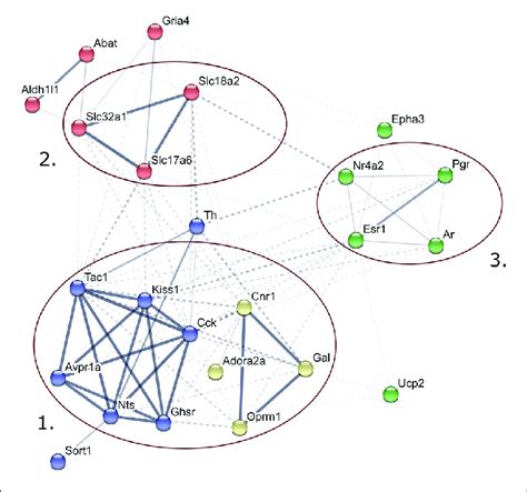 Predicted Interactions Among Proteins Encoded By Genes Expressed