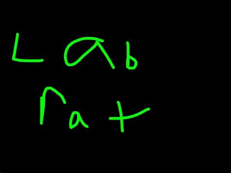 NEW LAB RAT CRAP FOR YEEPS YouTube