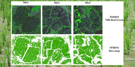 Improved Paddy Rice Classification Utilising Sentinel 12 Imagery Geoconnexion