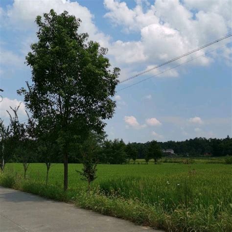 用爬虫获取flash文件格式和内容页面网页python