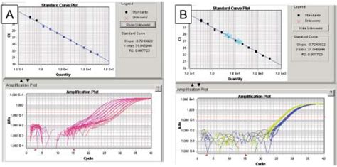 Taqman Amplification Plots Showing Amplification Of Reference Samples Download Scientific