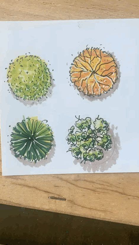 ARCHITECTURAL TREE DRAWING Tree Drawing Marker Art Architectural Trees