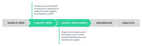 Whole Exome Sequencing Twist Bioscience