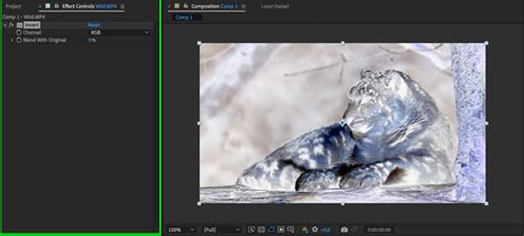 How To Invert In After Effects Aejuice Com