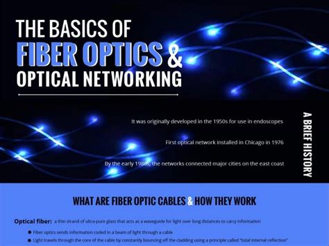 The Basics Of Fiber Optics And Optical Networking Infographic