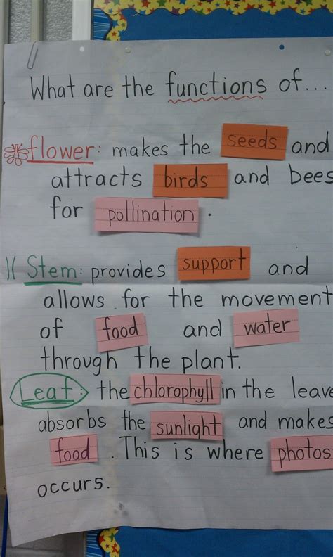 Ways To Make Your Science Notebooks More Interactive Artofit
