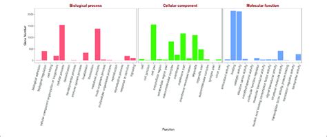Gene Ontology Go Classifications Of Legs Transcripts Annotated At