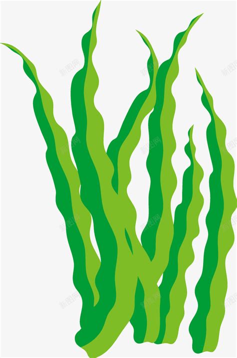 卡通海草矢量图png图片免费下载 素材fqyyfyn 88ICON