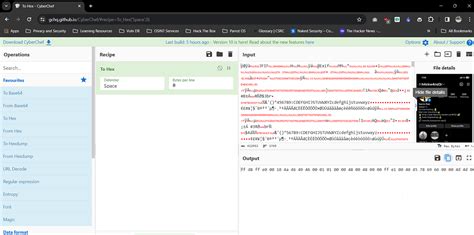 Stealthy Data Concealment Unveiling The Art Of Hiding Information Through Image Height