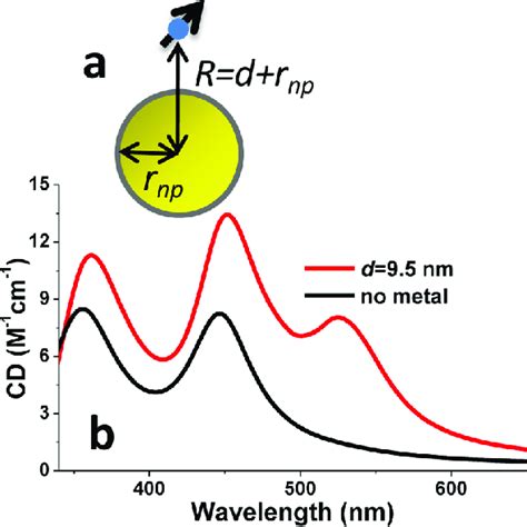 A Dipolar Model Of Interaction Between A Spherical Gold Particle And Download Scientific
