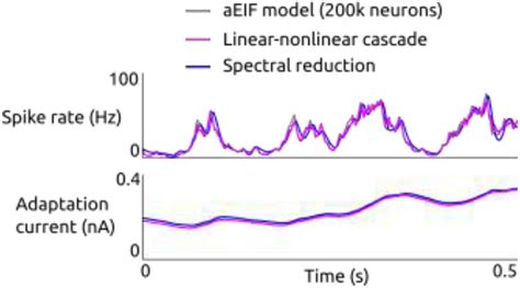 Simulation Of A Large Population Of Adaptive Exponential Download Scientific Diagram