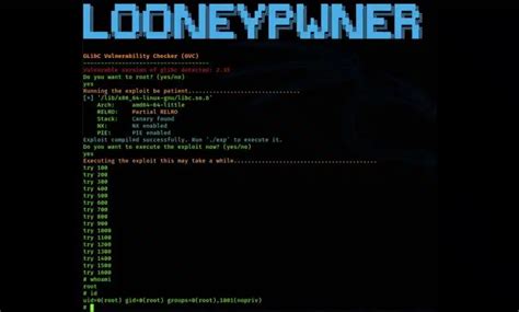 explotando la falla de glibc looney tunables en linux muylinux