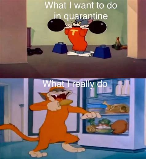 Quarantine In A Nutshell Scrolller