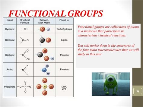 Macromolecules And Enzymes Ppt Notes