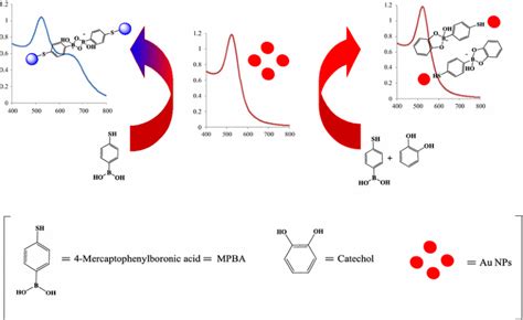 Selective Sensitive And Reliable Colorimetric Sensor For Catechol Detection Based On Anti