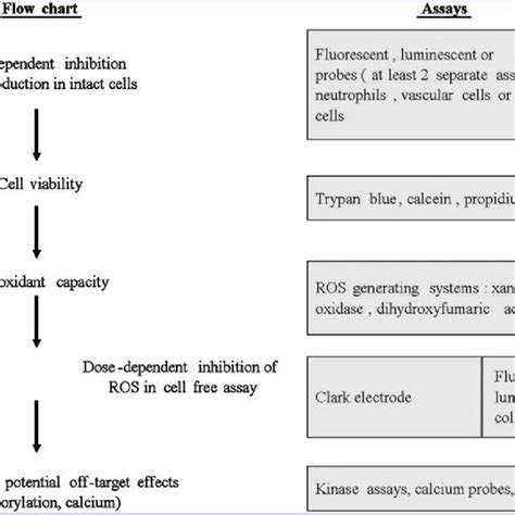 Flow Chart Representing The Sequence Of Experiments And The Most Common