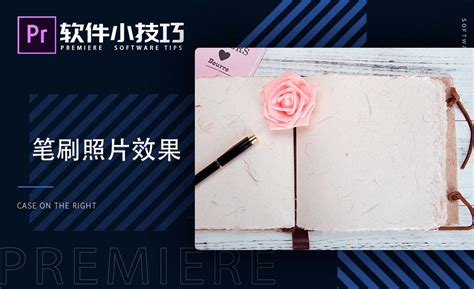 PR相册效果合集 PR 刷子照片效果教程 潮点课堂