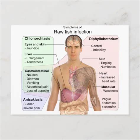 Chart Of The Symptoms Of Raw Fish Infection Postcard Zazzle