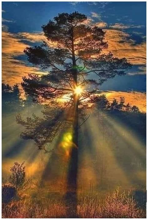 Sun Rays Blank Template Imgflip