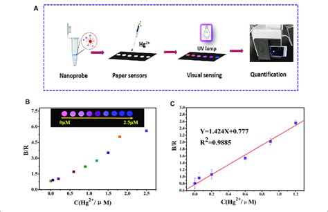 A The Schematic Diagram Of Visual And Quantitative Detection Of