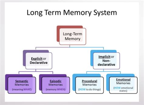 3019psy Wk8 Semantic System Flashcards Quizlet